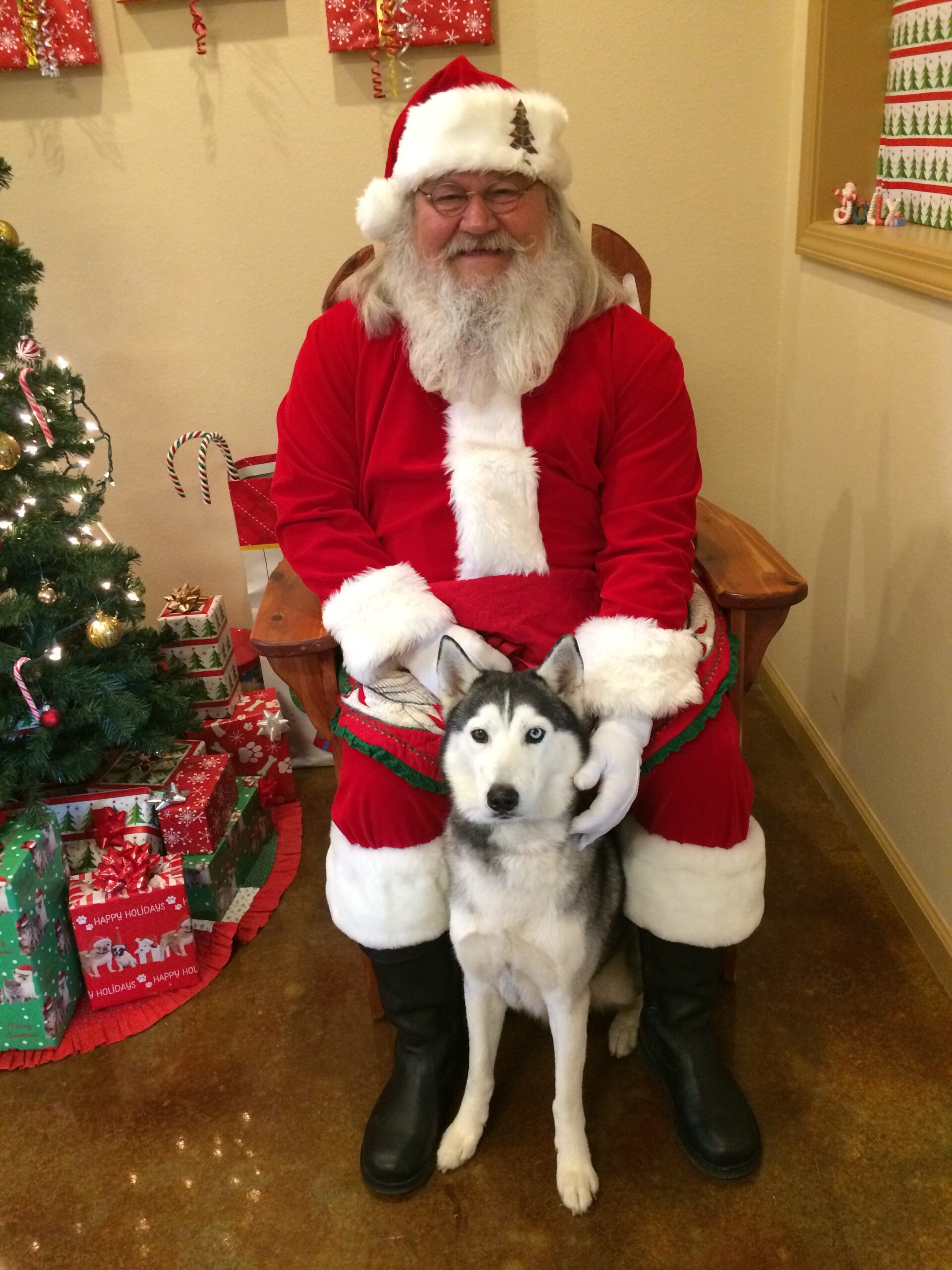 Santa with Husky – Stocking Stuffer Steve LLC